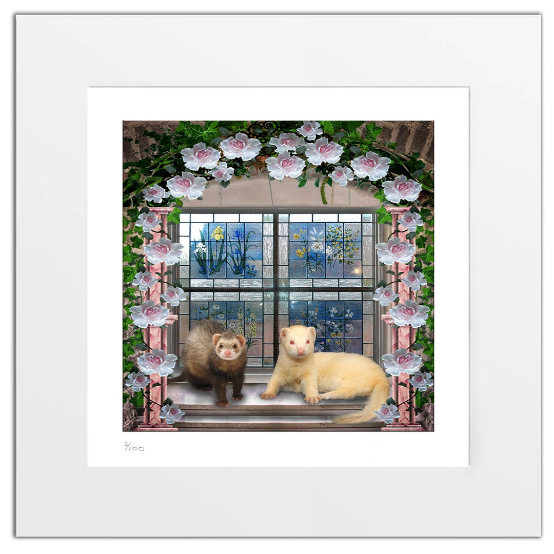 Ferret Art Print Picture, Poster. Under the Flower Arch. Limited ...