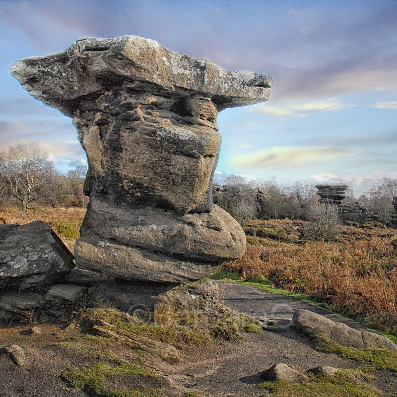 Brimham Rocks Autumn, North Yorkshire Art Print. Limited Edition Artist ...