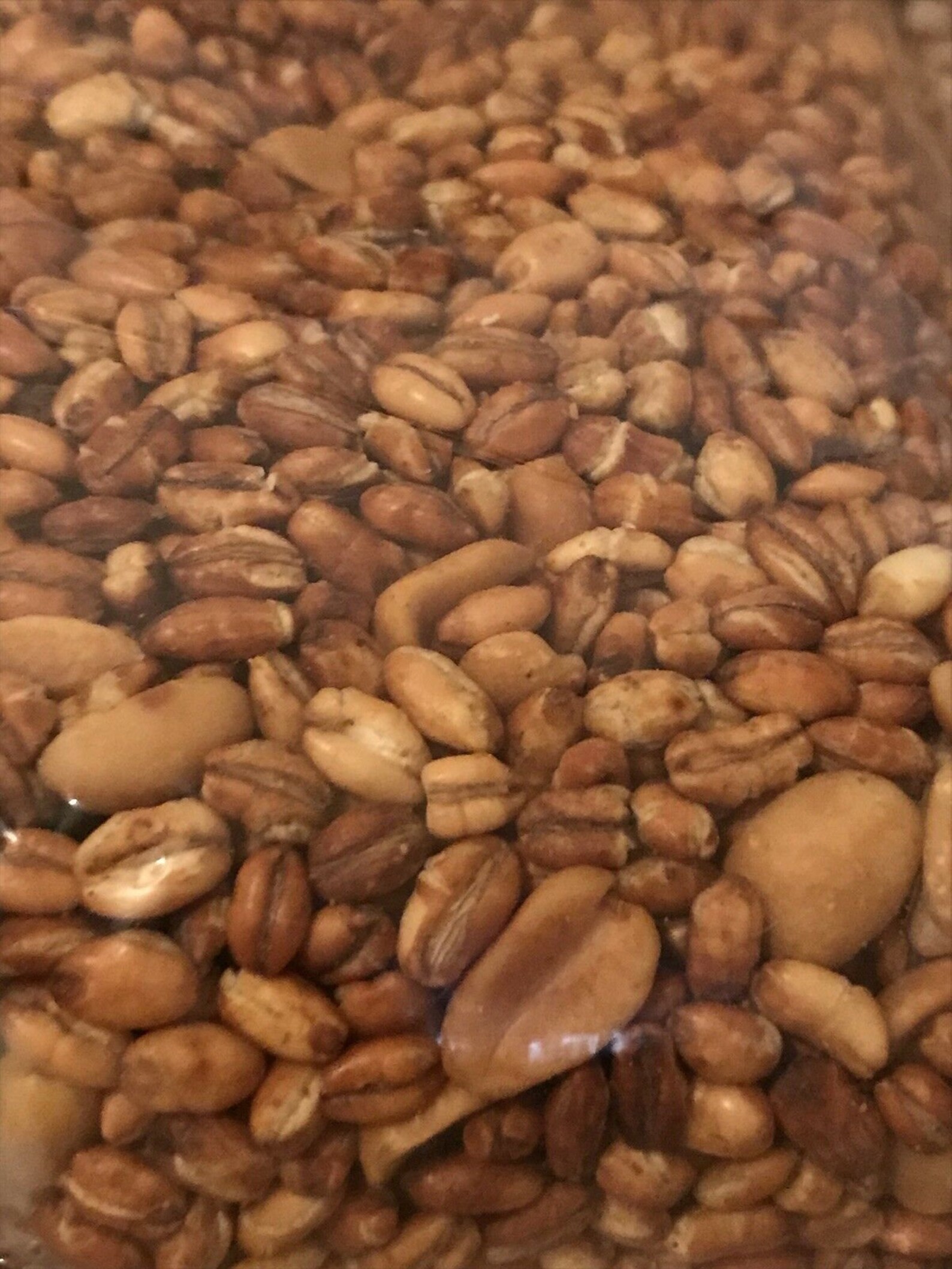 Ethiopian Kolo - Qolo - Roasted Barkey - .25 Pound - 4 Ounces - Etsy