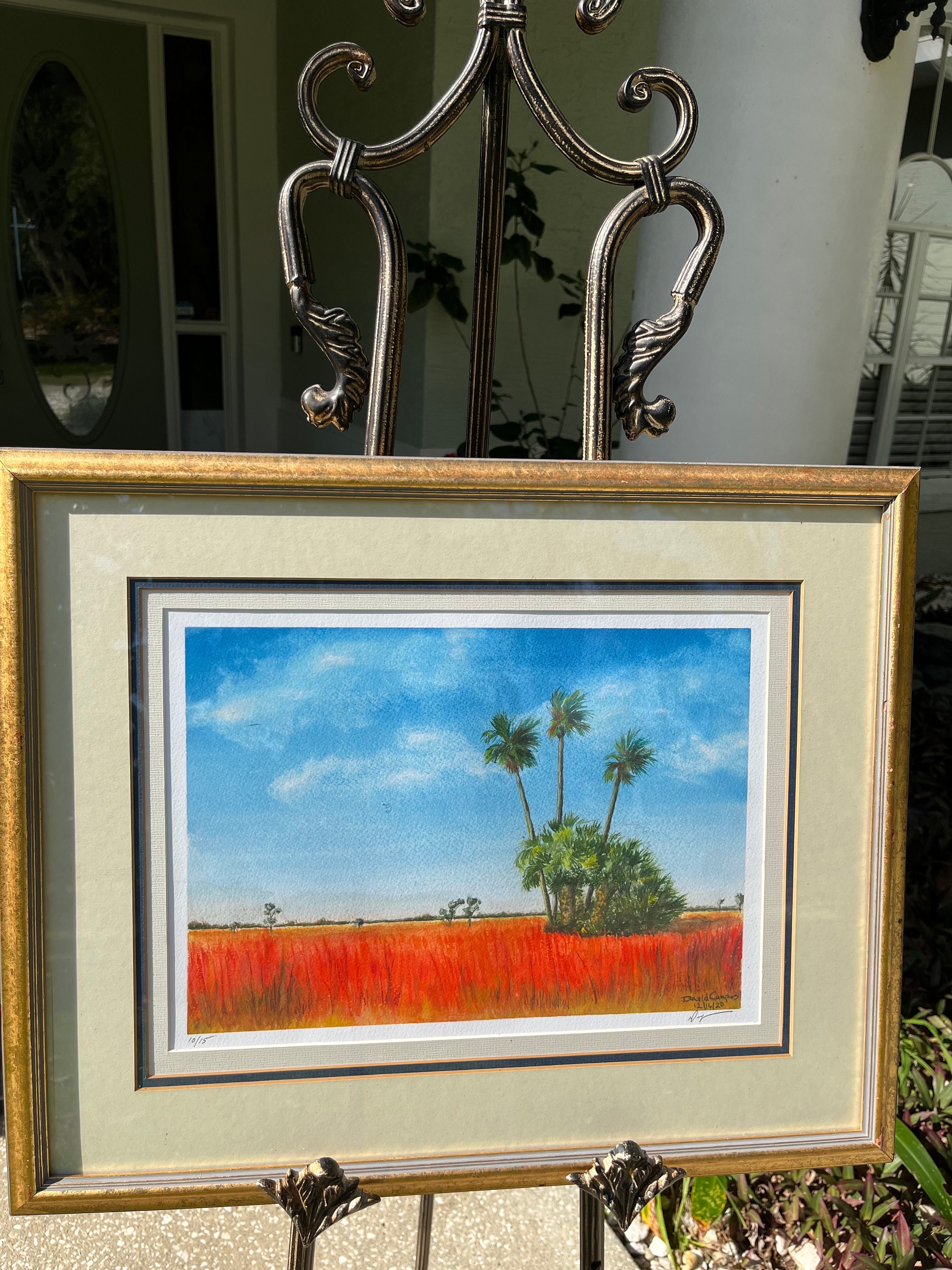 Sawgrass Prairie, Everglades. Watercolor Painting. - Etsy