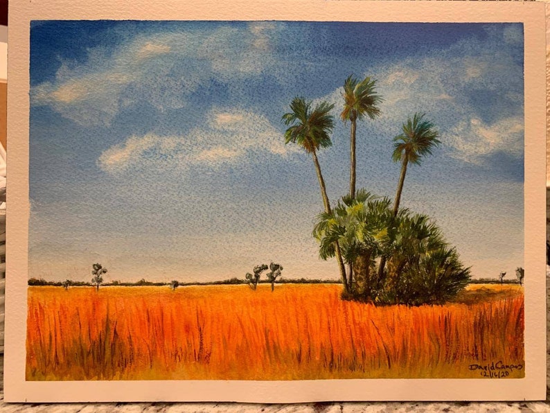 Sawgrass Prairie, Everglades. Watercolor Painting. - Etsy