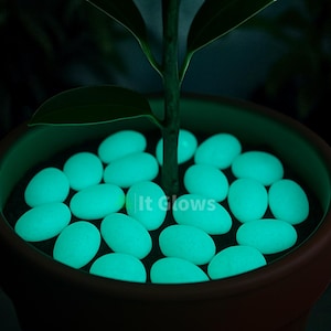 Glow in the Dark Pebbles - 1 Inch Marble/ Garden Decor / Landscape ...