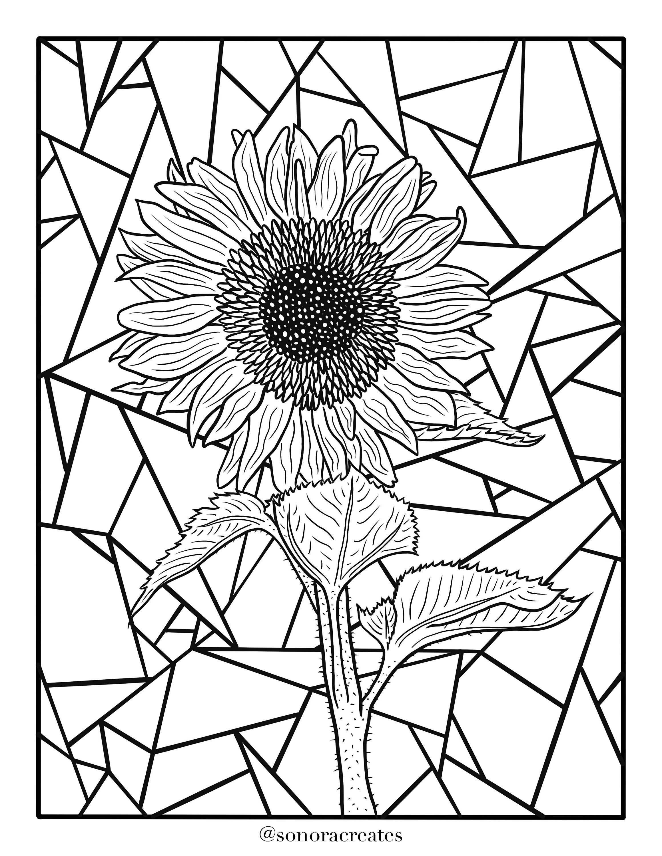 Sunflower Colouring Pages