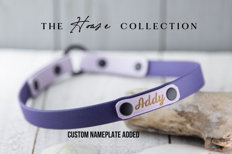 The HOUSE Collection A Slip-on Identification Collar - Etsy