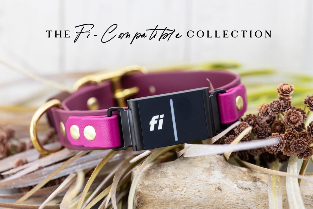 The FI COMPATIBLE Collection (1") - Series 3/3+ Fi Biothane Dog Collar ...