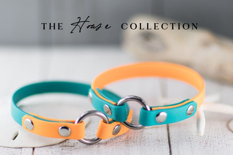 The HOUSE Collection A Slip-on Identification Collar - Etsy