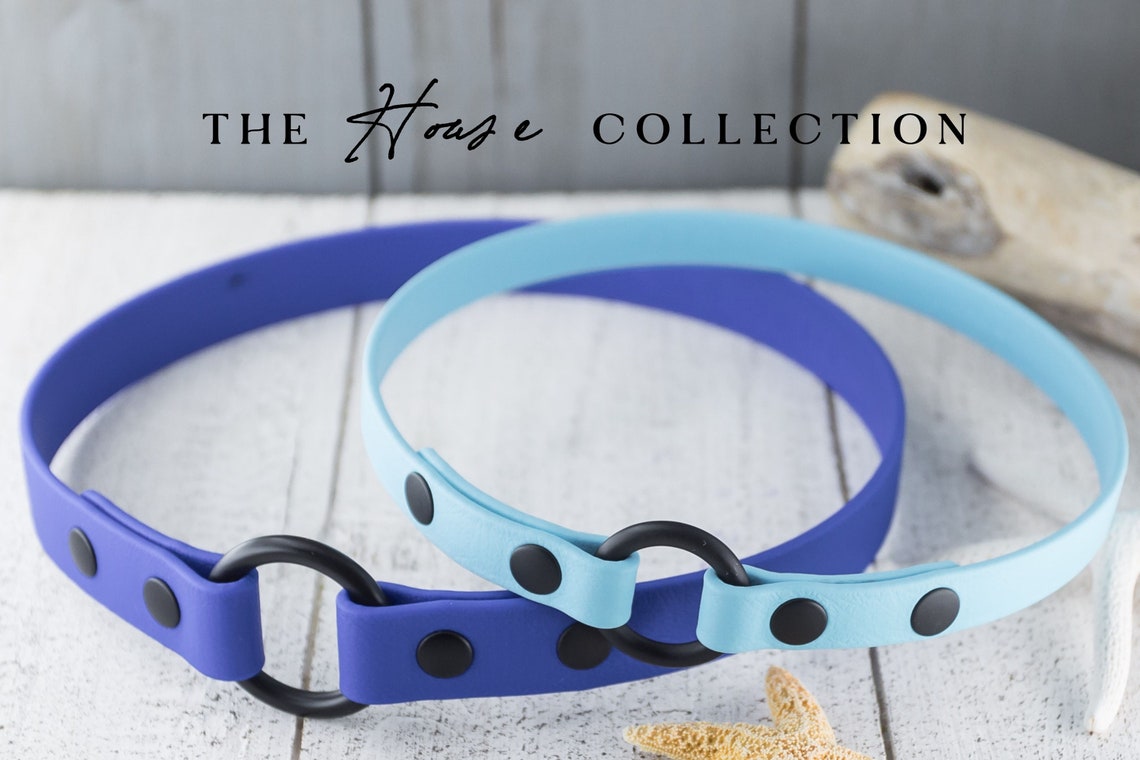 The HOUSE Collection A slip-on identification collar | Etsy