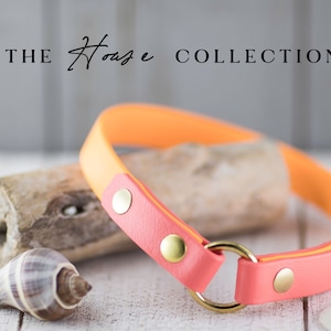 The HOUSE Collection - A Slip-on Identification Collar - Etsy