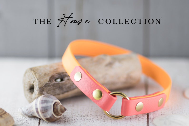 The HOUSE Collection A Slip-on Identification Collar - Etsy