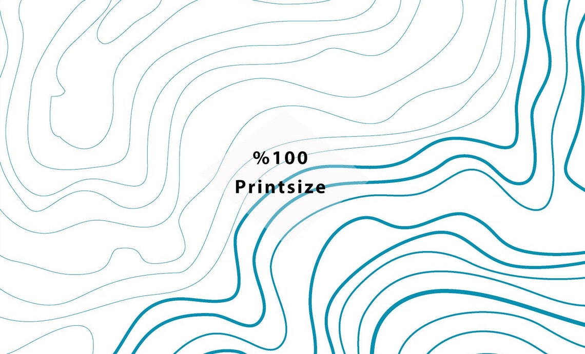 Topographic Map Abstract Blue Lines Height Isolated on White - Etsy