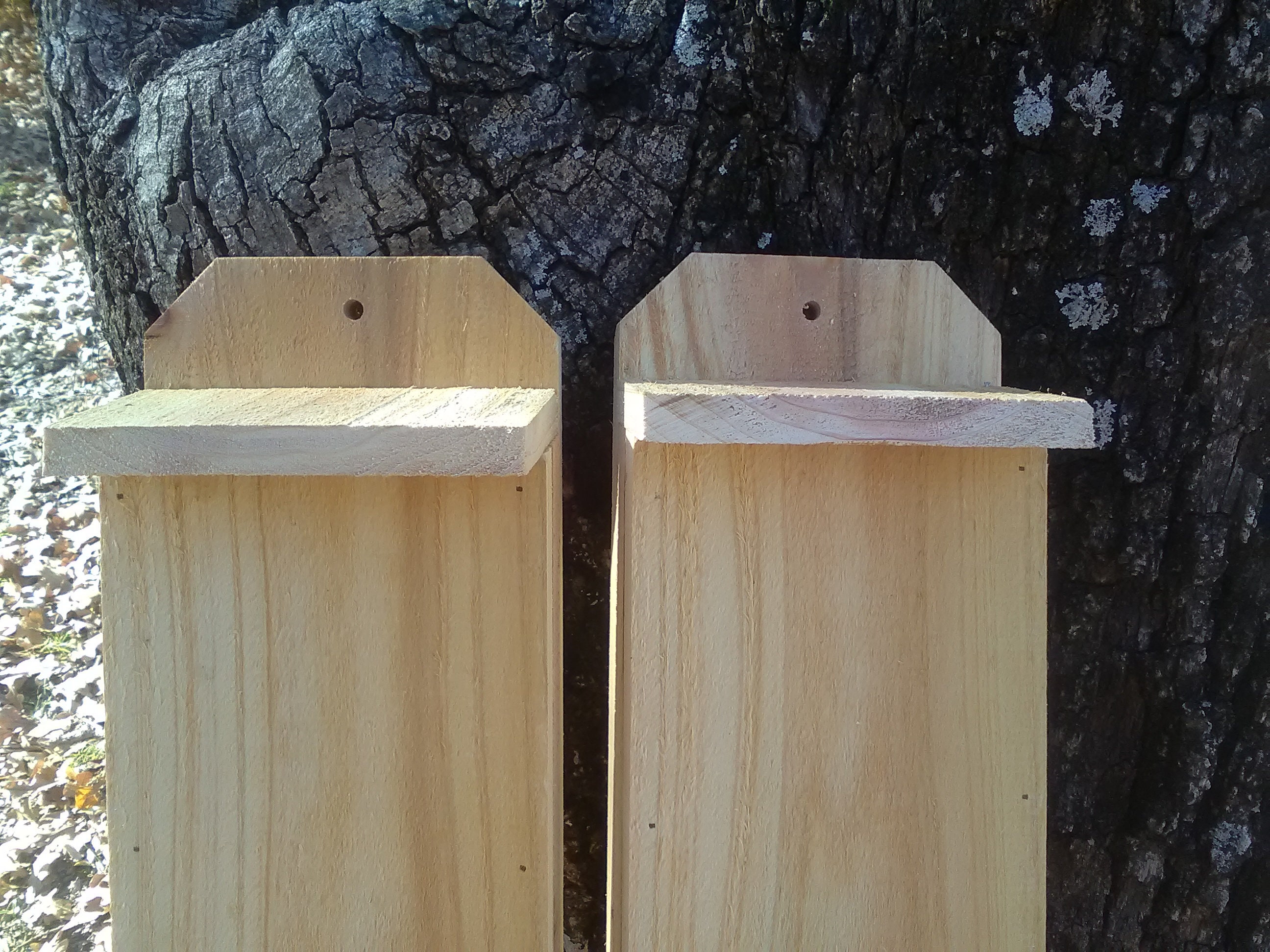 4 Bat Houses Natural Mosquito Control Cedar Bat House - Etsy