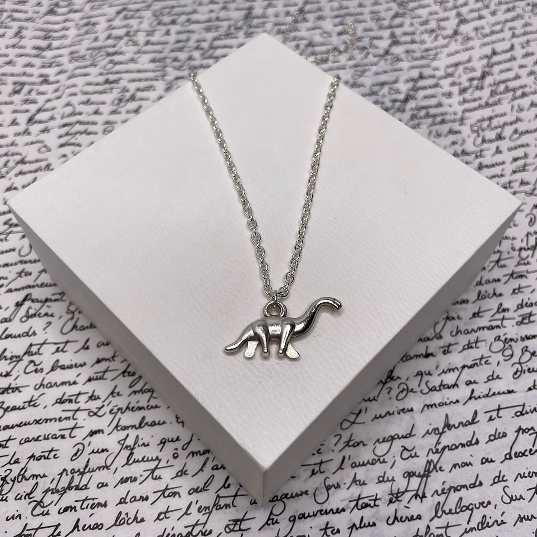 Dinosaur Silver Chain Necklace Pendant Jewellery Gift - Etsy