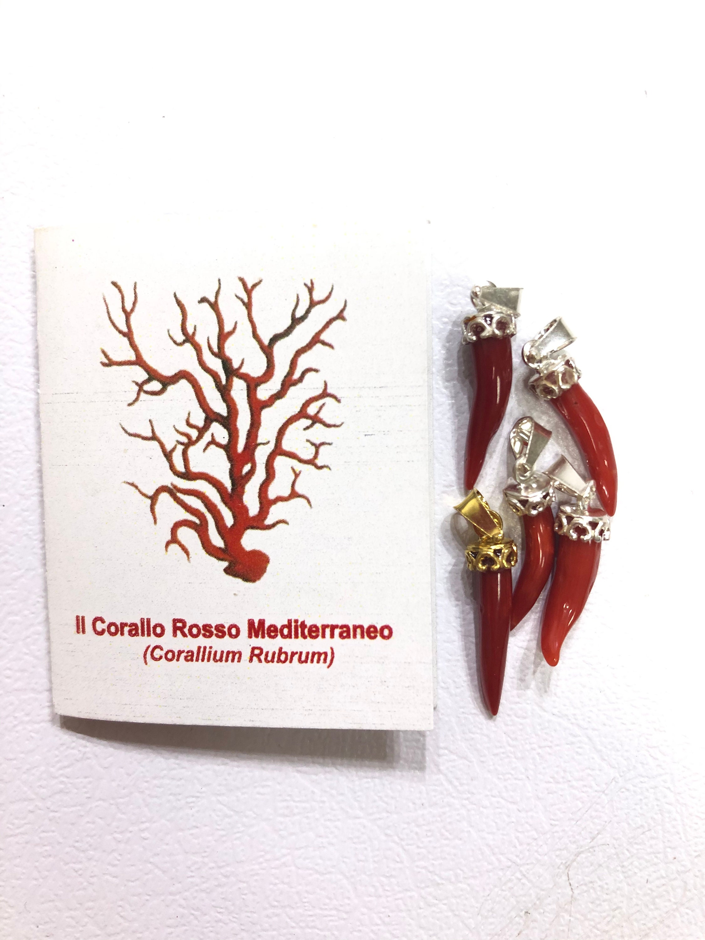 Red Coral Horn Pendant With Silver 925 Perforated Hood, Red Coral, Horn ...