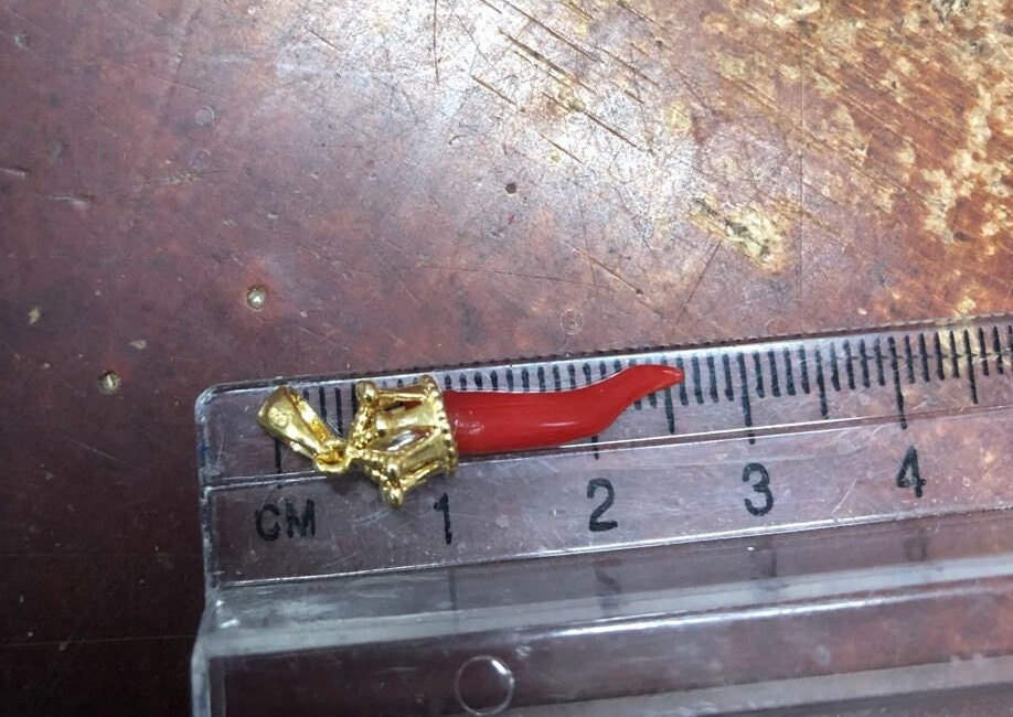 Red Coral Horn , Coral Pendant ,red Coral ,corniciello Charm,made in ...