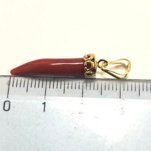 Red Coral Horn Pendant With Silver 925 Perforated Hood, Red Coral, Horn ...