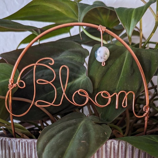 Bloom Word Art - Etsy