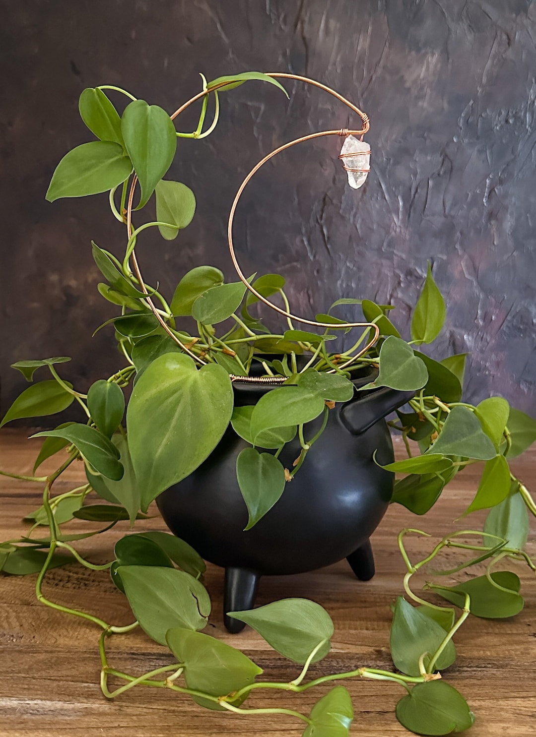 Moon Clear Quartz Plant Trellis With Copper Support - Clarity Amplify ...