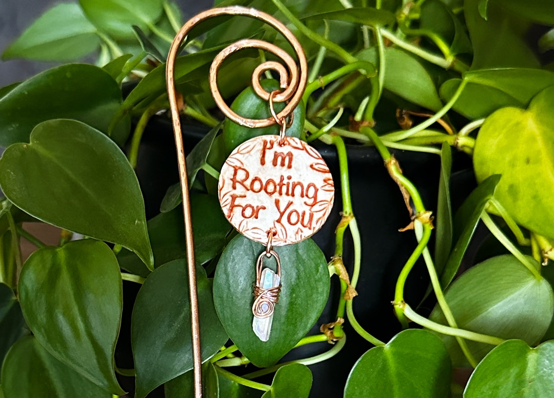 I’m Rooting for You Houseplant Stake, Indoor Garden Wire Clear Quartz ...