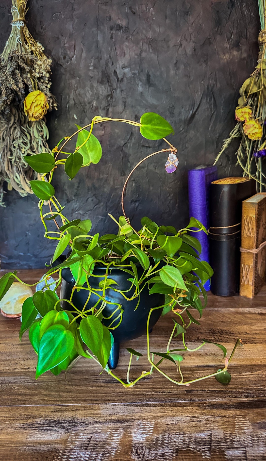 Moon Crystal Plant Trellis With Copper Support - Choose Amethyst, Rose ...