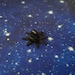 Aroace Starburst Pin - Etsy