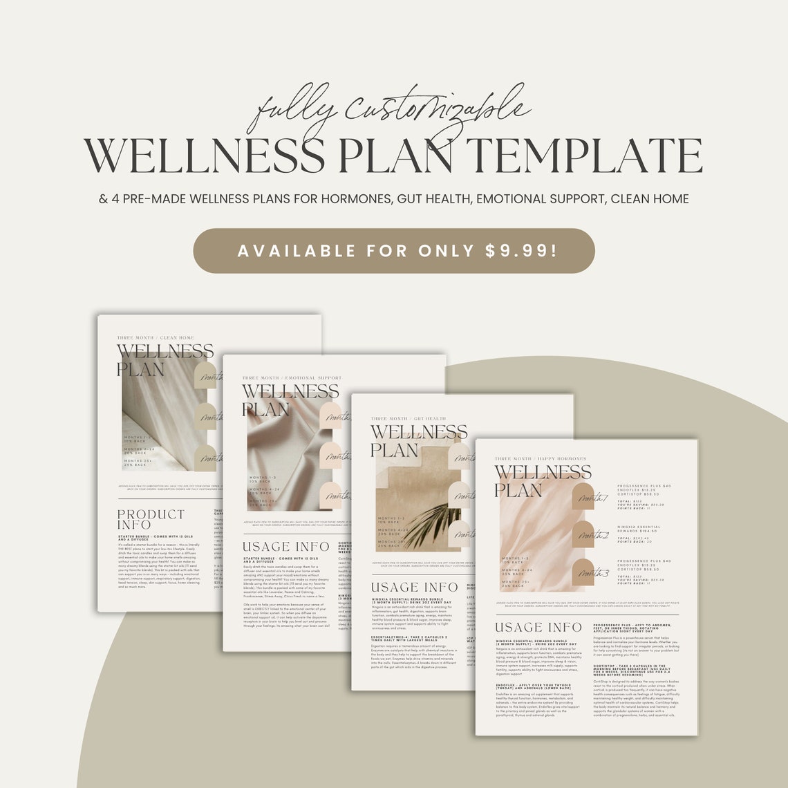 Wellness Plan Template *fully Customizable* - Etsy