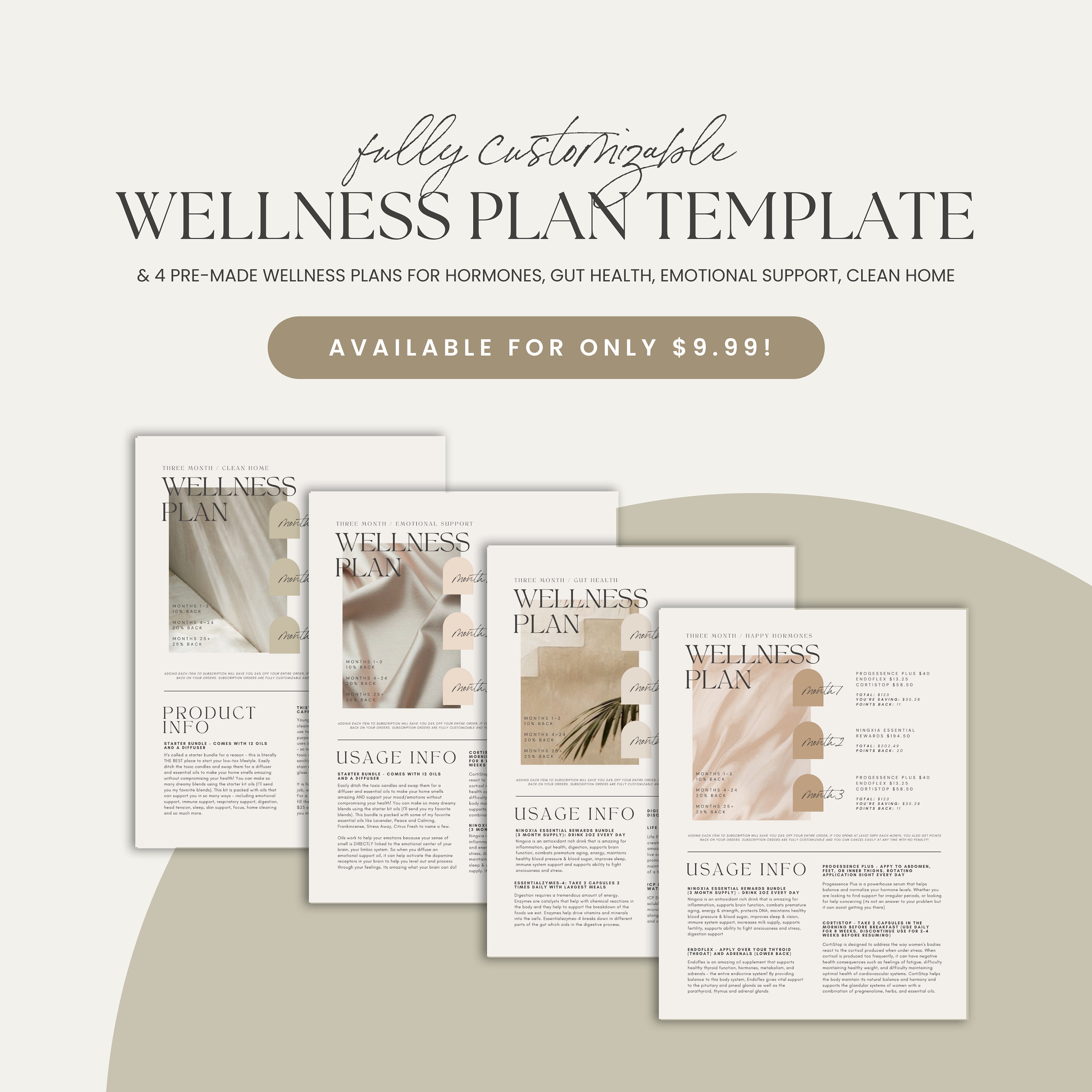 Wellness Plan Template *fully Customizable* - Etsy