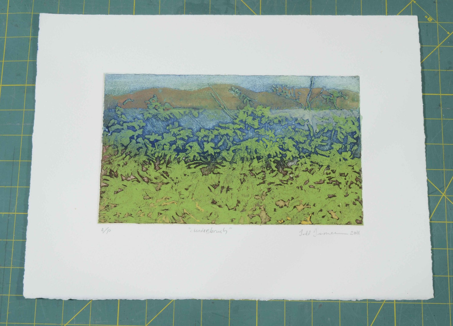 Original Artist Etching, Summer Rain Forest Landscape, Colorful Nature ...