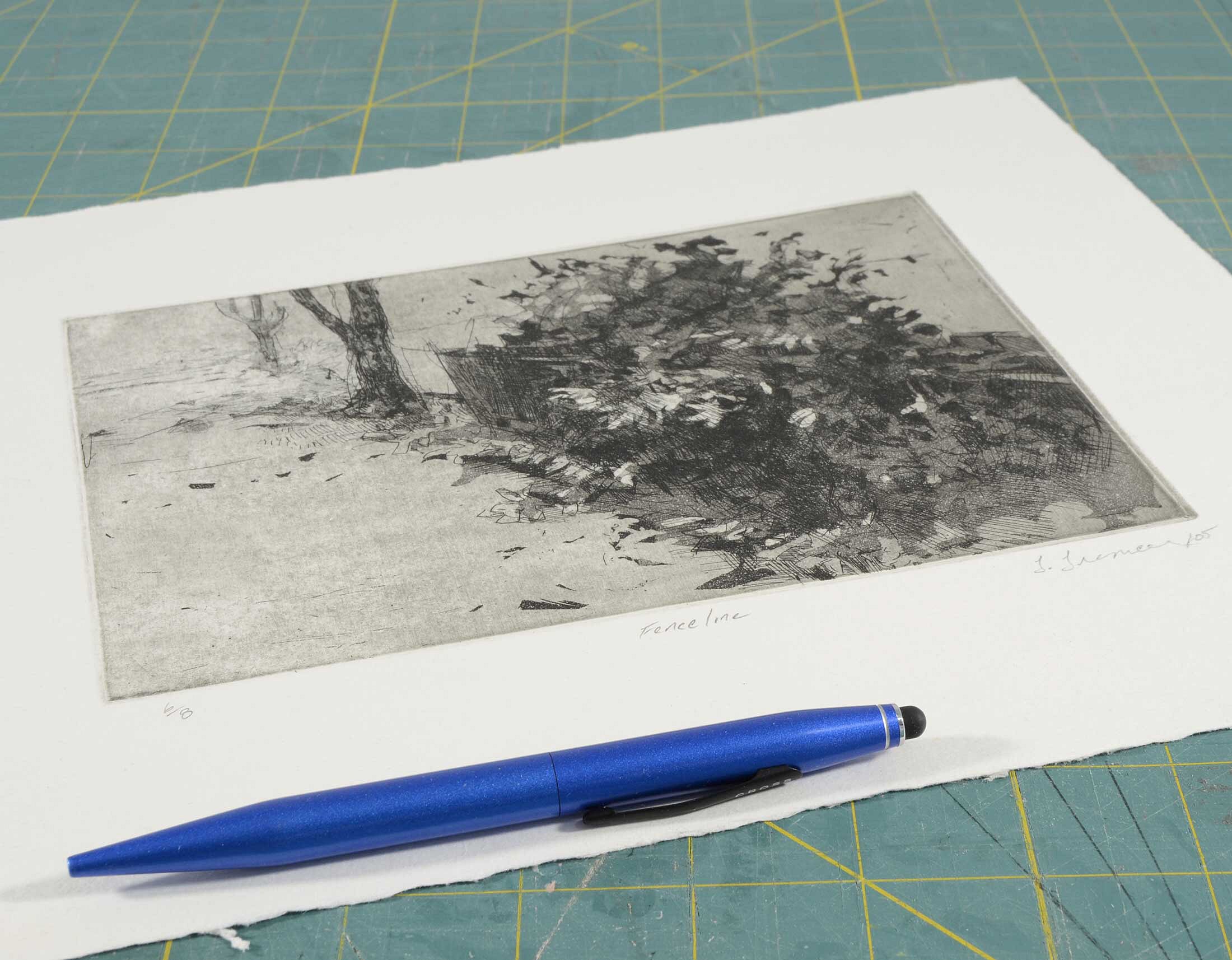 Original Art Etching, Landscape Drawing of Garden Fence & Trees. Framed ...