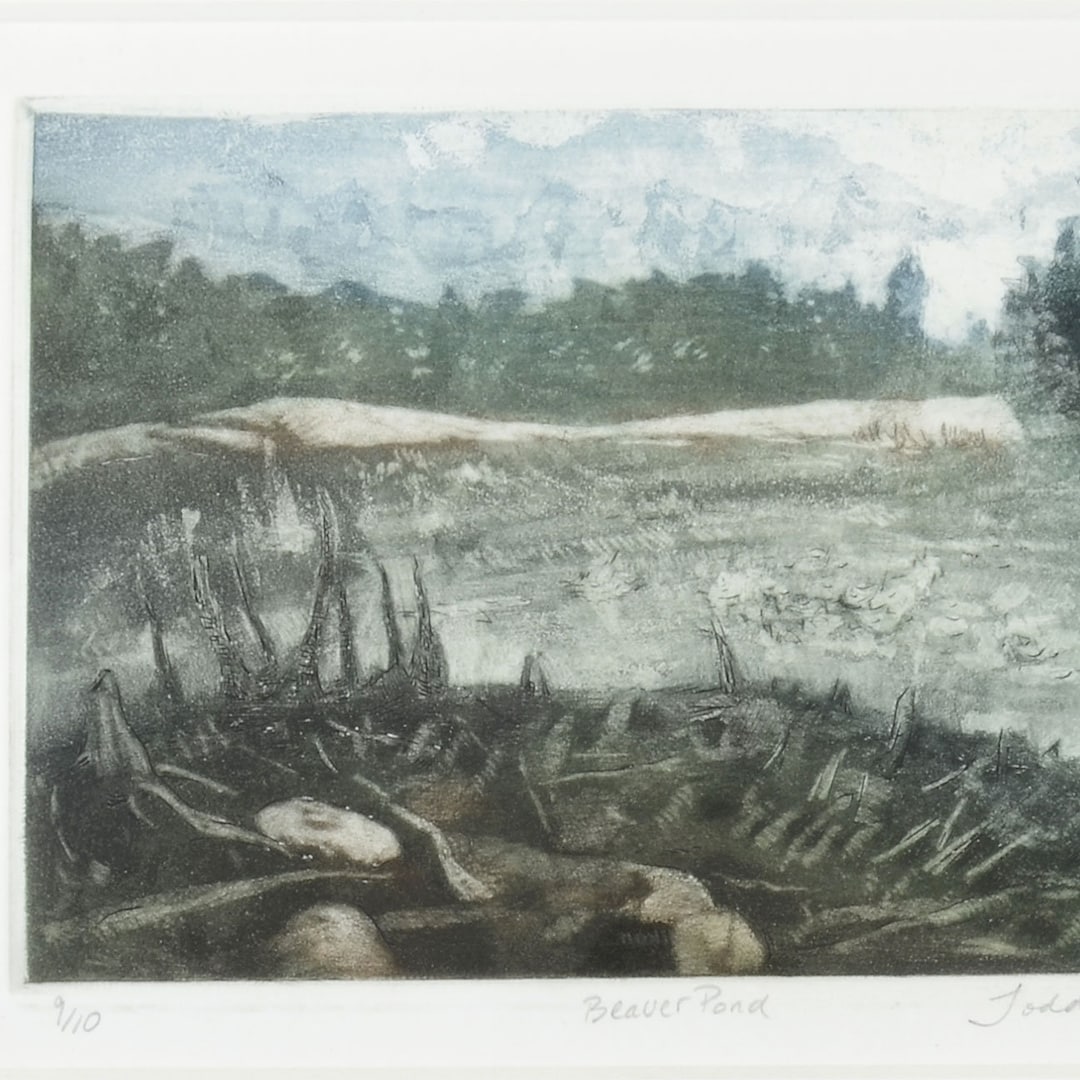 Original Art Mezzotint Etching, Beaver Pond, Lake Scene. Canadian ...