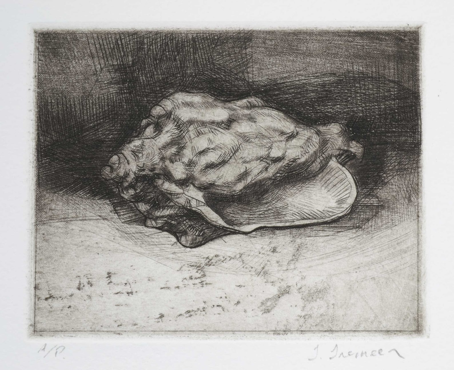 Ocean Beach Art, Drypoint Engraving & Aquatint Etching, Natural History ...