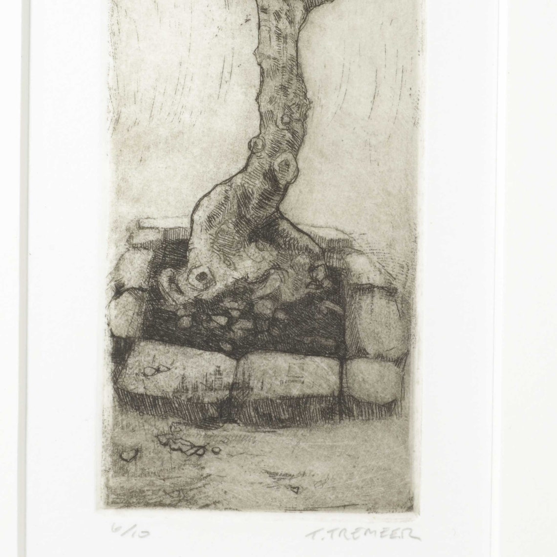 Tree Etching, Framed Intaglio Aquatint Etching, Small Original Art Tree ...