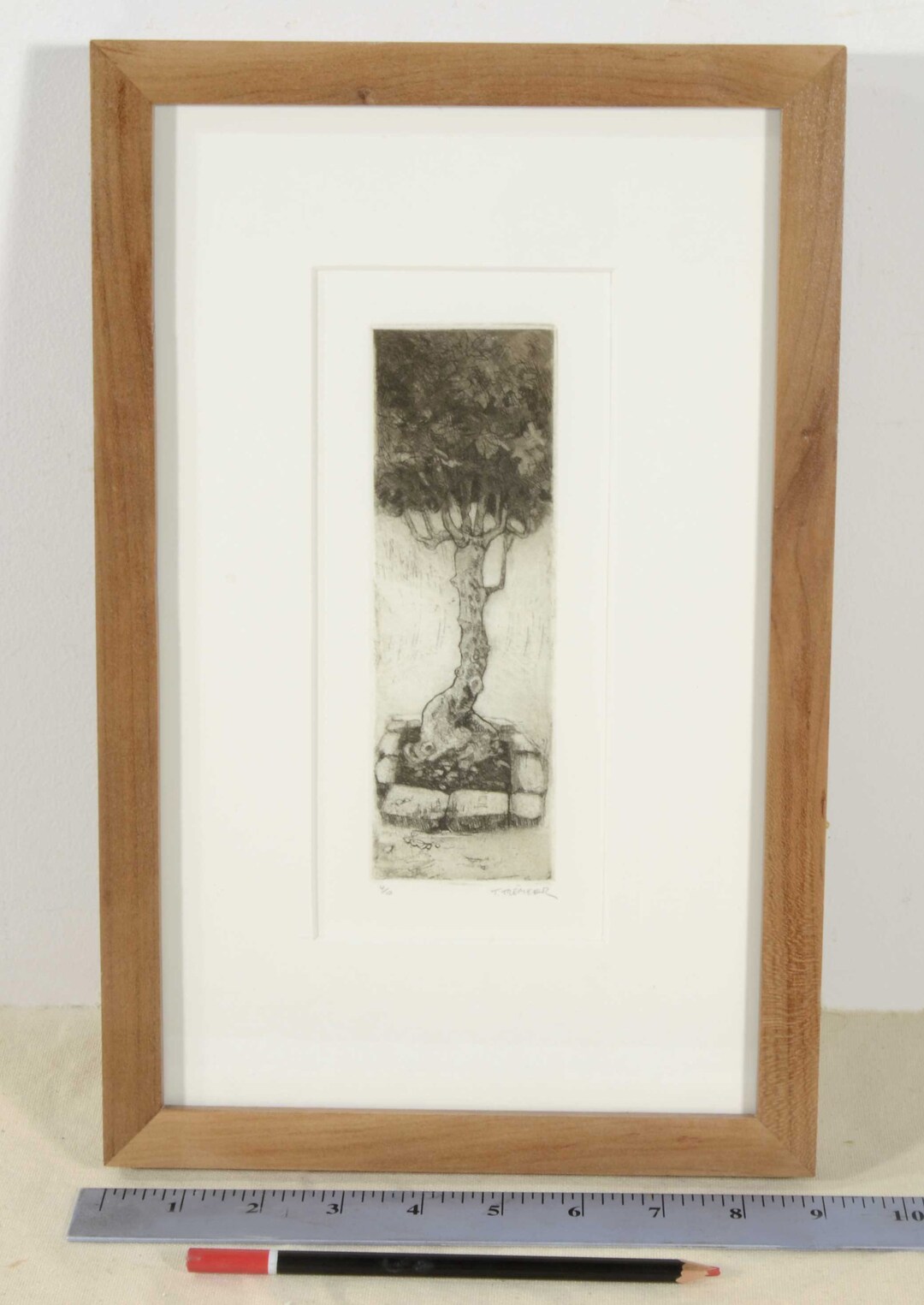 Original Art Etching Aquatint. Garden Tree, Fine Art Print, Small ...