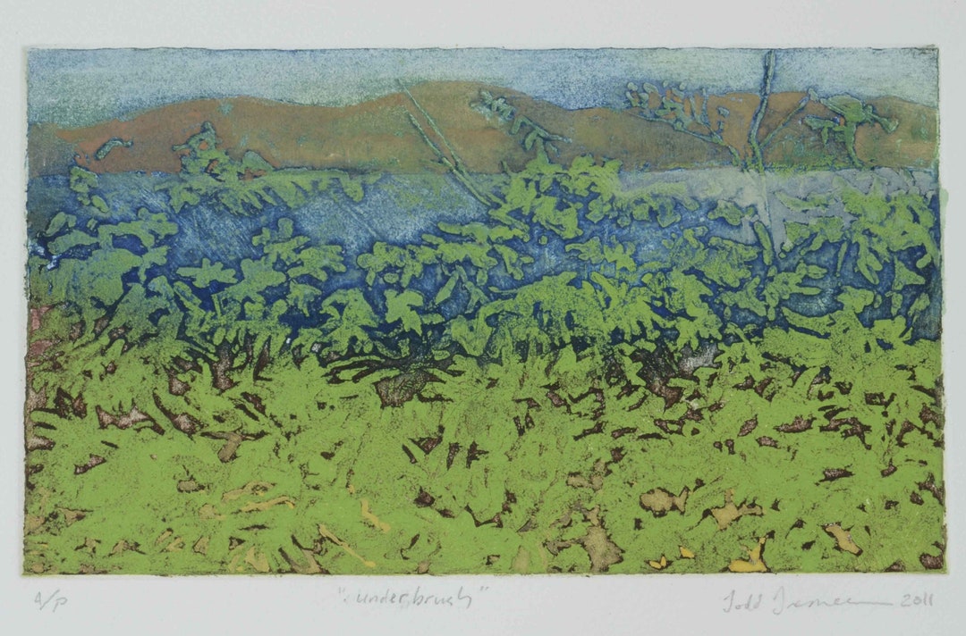 Original Artist Etching, Summer Rain Forest Landscape, Colorful Nature ...