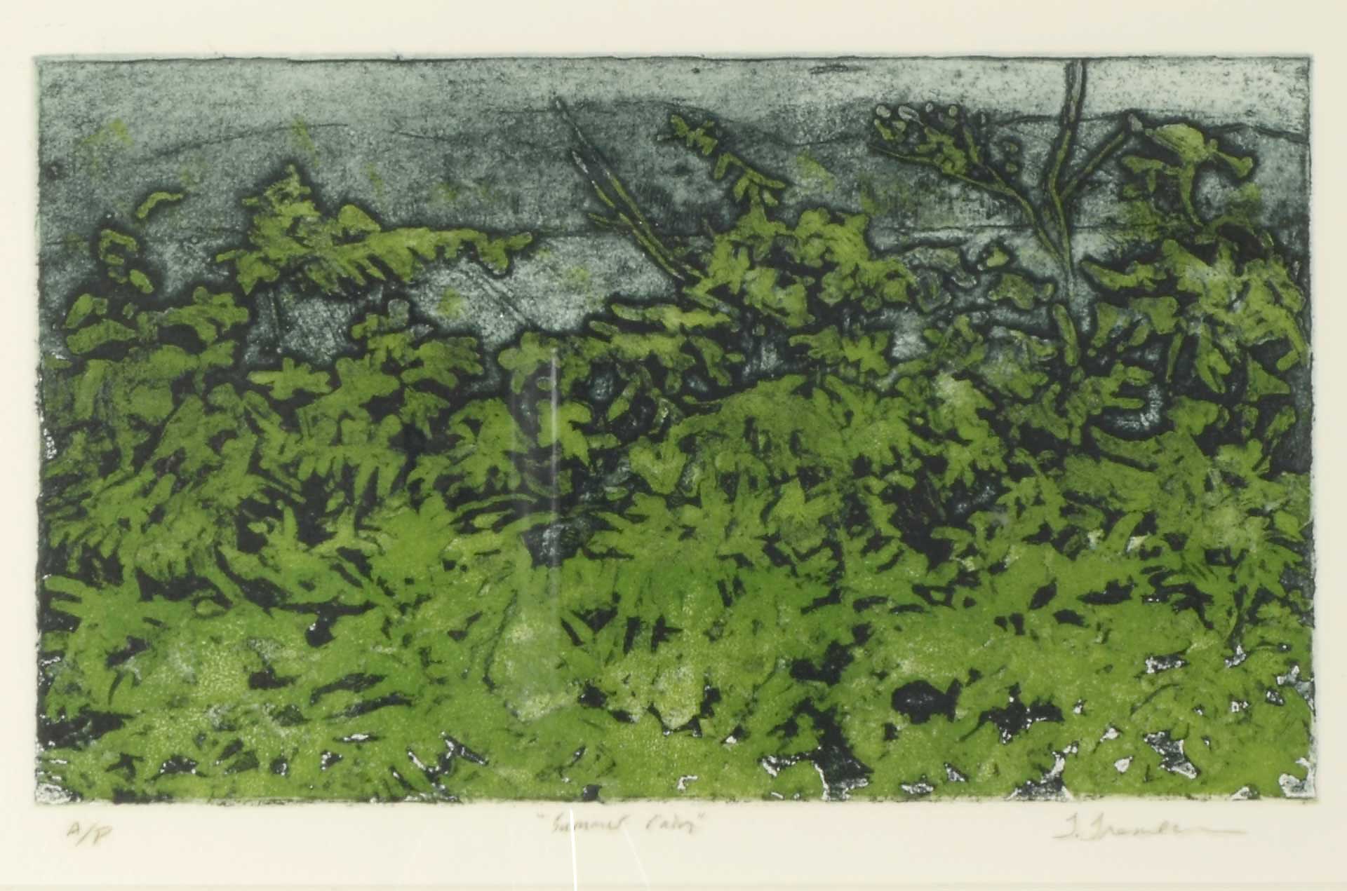 Original Art Etching, Forest Landscape. Leafy Forest Nature Scene ...