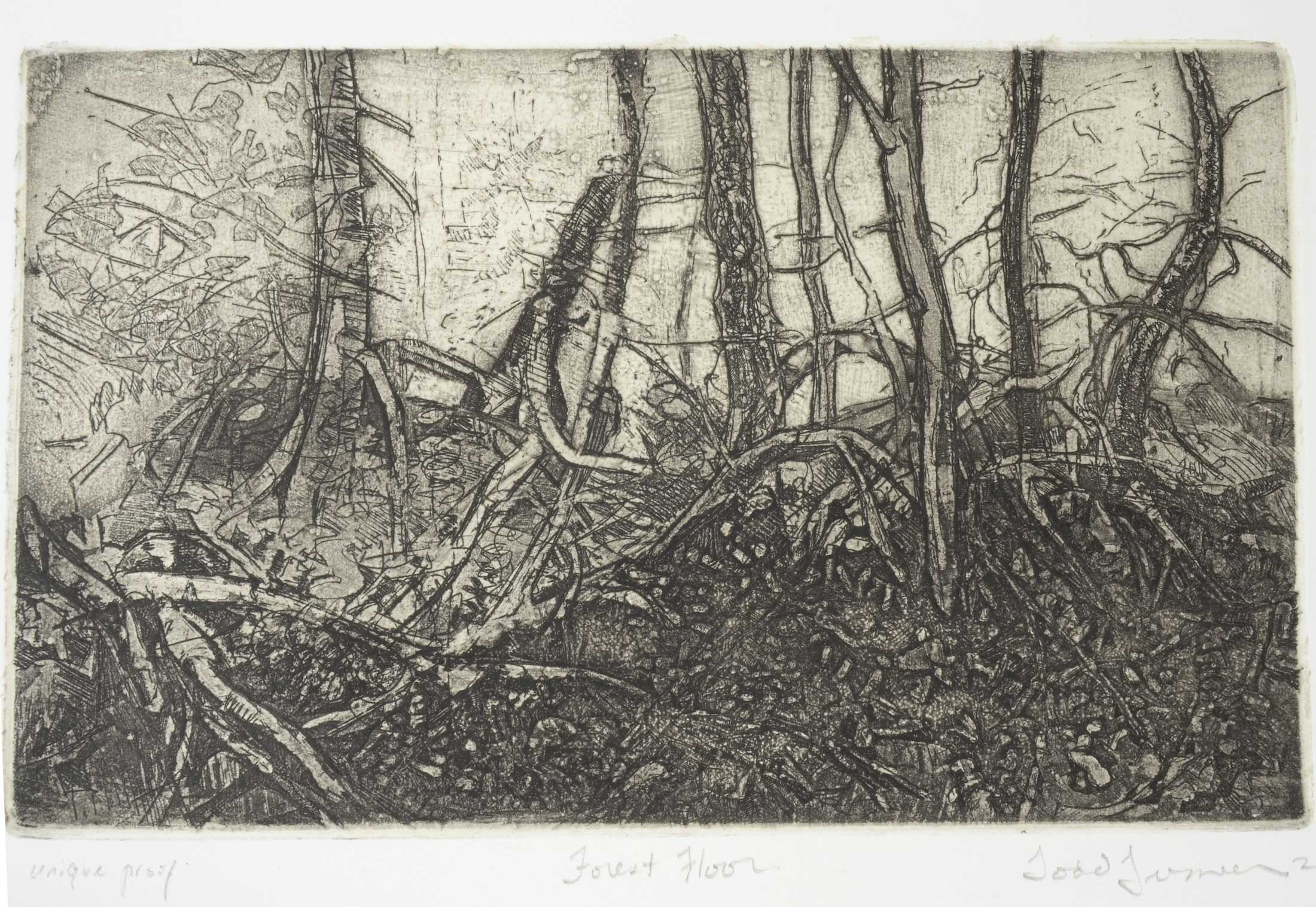 Tree Etching, Original Artist Print, Intaglio Aquatint Printmaking ...