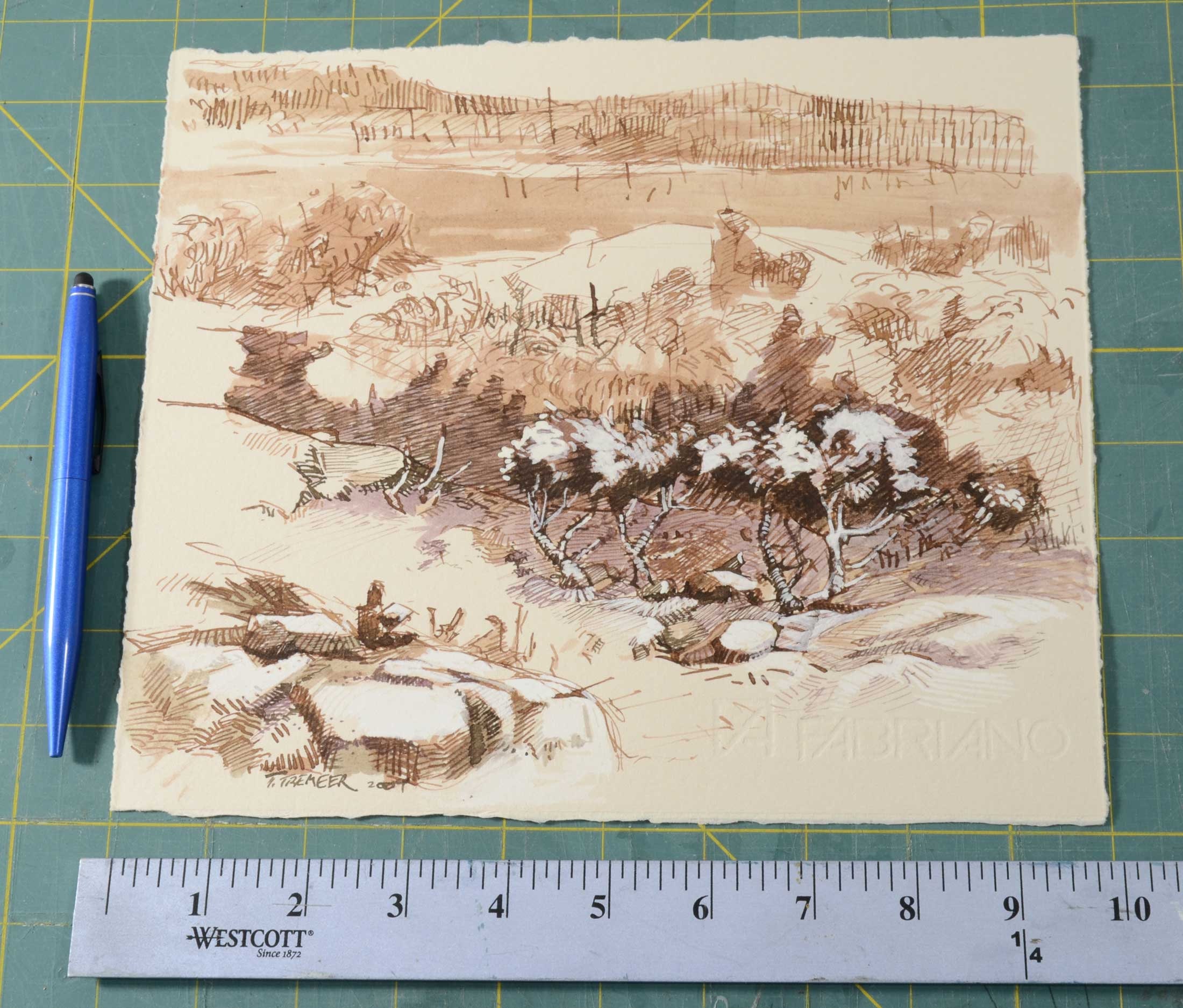 Original Art Watercolor & Ink Drawing. Canadian Shield Landscape. North ...