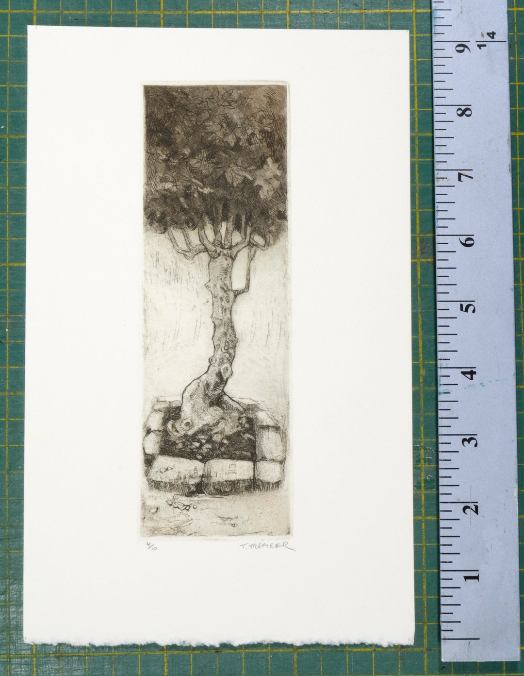 Tree Etching, Intaglio Original Art Print, Small Park Cityscape Tree ...