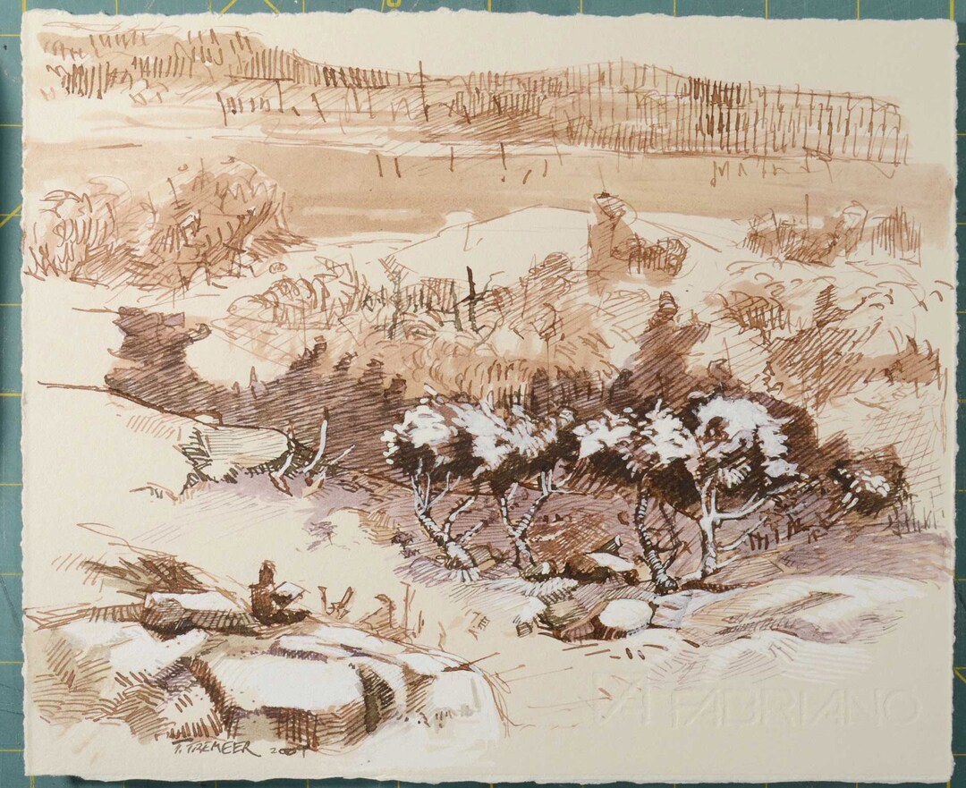 Original Art Watercolor & Ink Drawing. Canadian Shield Landscape. North ...