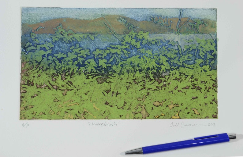 Original Artist Etching, Summer Rain Forest Landscape, Colorful Nature ...