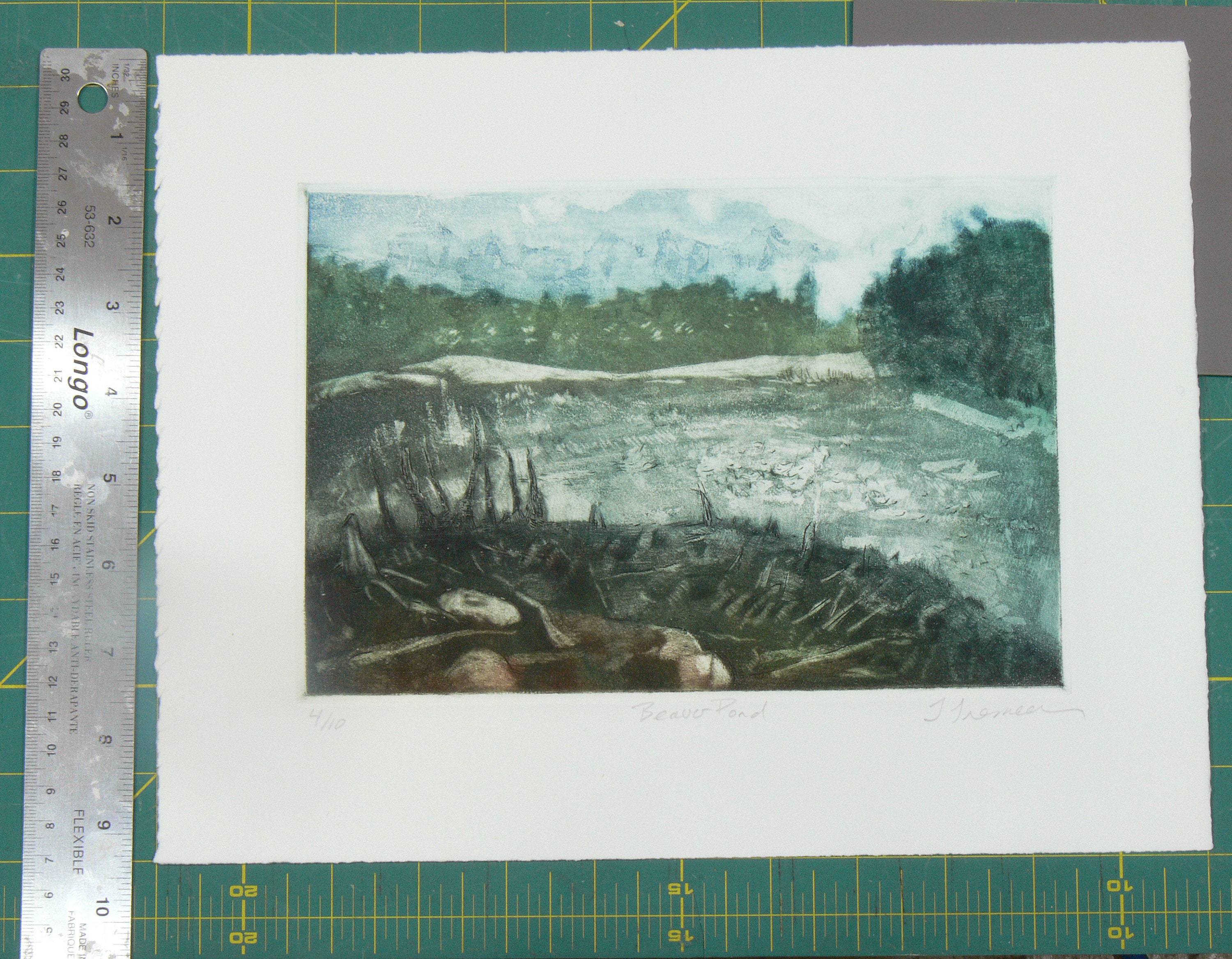 Mezzotint Color Etching Original Intaglio Print. Marshland Beaver Pond ...