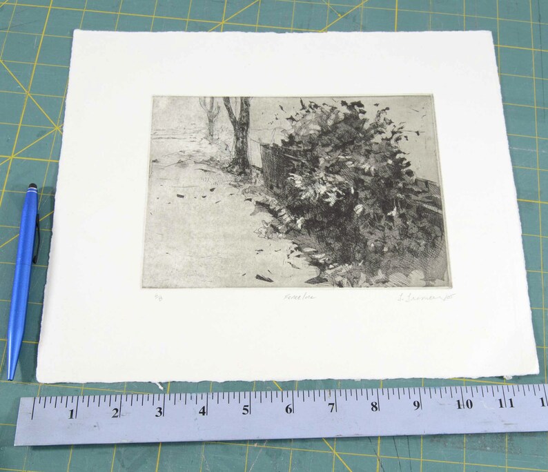 Original Art Etching, Landscape Drawing of Garden Fence & Trees. Framed ...