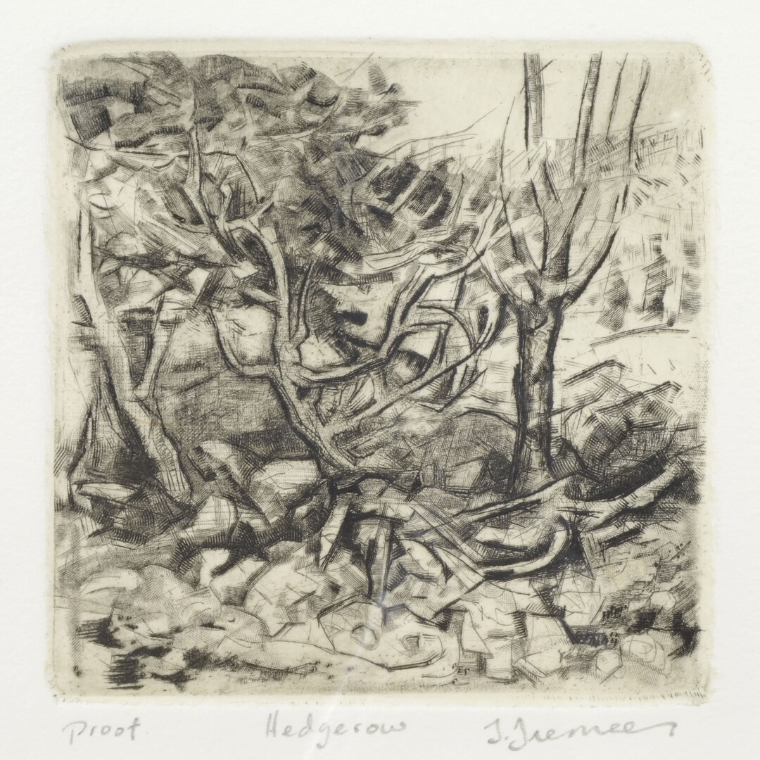 Hedgerow Trees, Drypoint Etching, Intaglio Engraving. Chine Colle ...