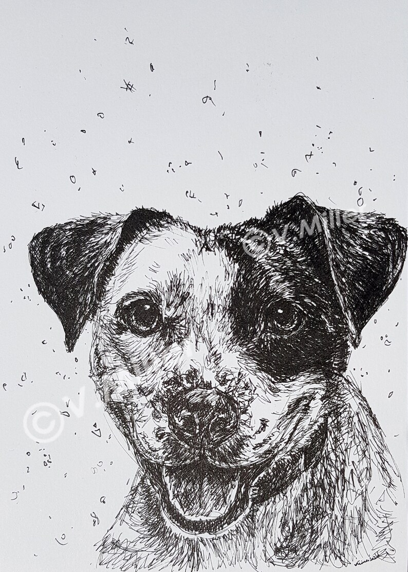 Staffy Art, Staffordshire Bull Terrier Drawing, Staffie Portrait ...