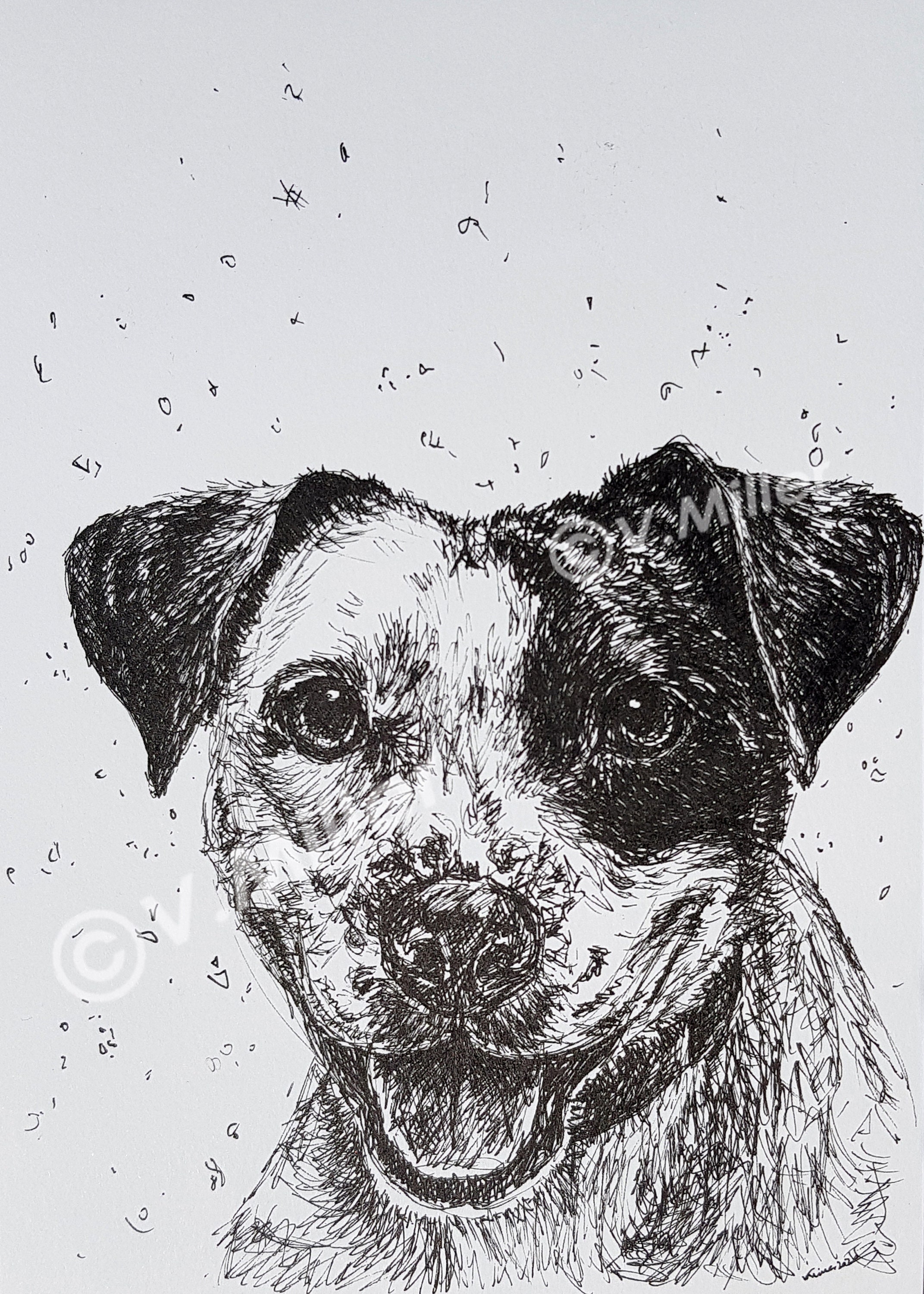 Staffy art Staffordshire bull terrier drawing Staffie - Etsy 日本