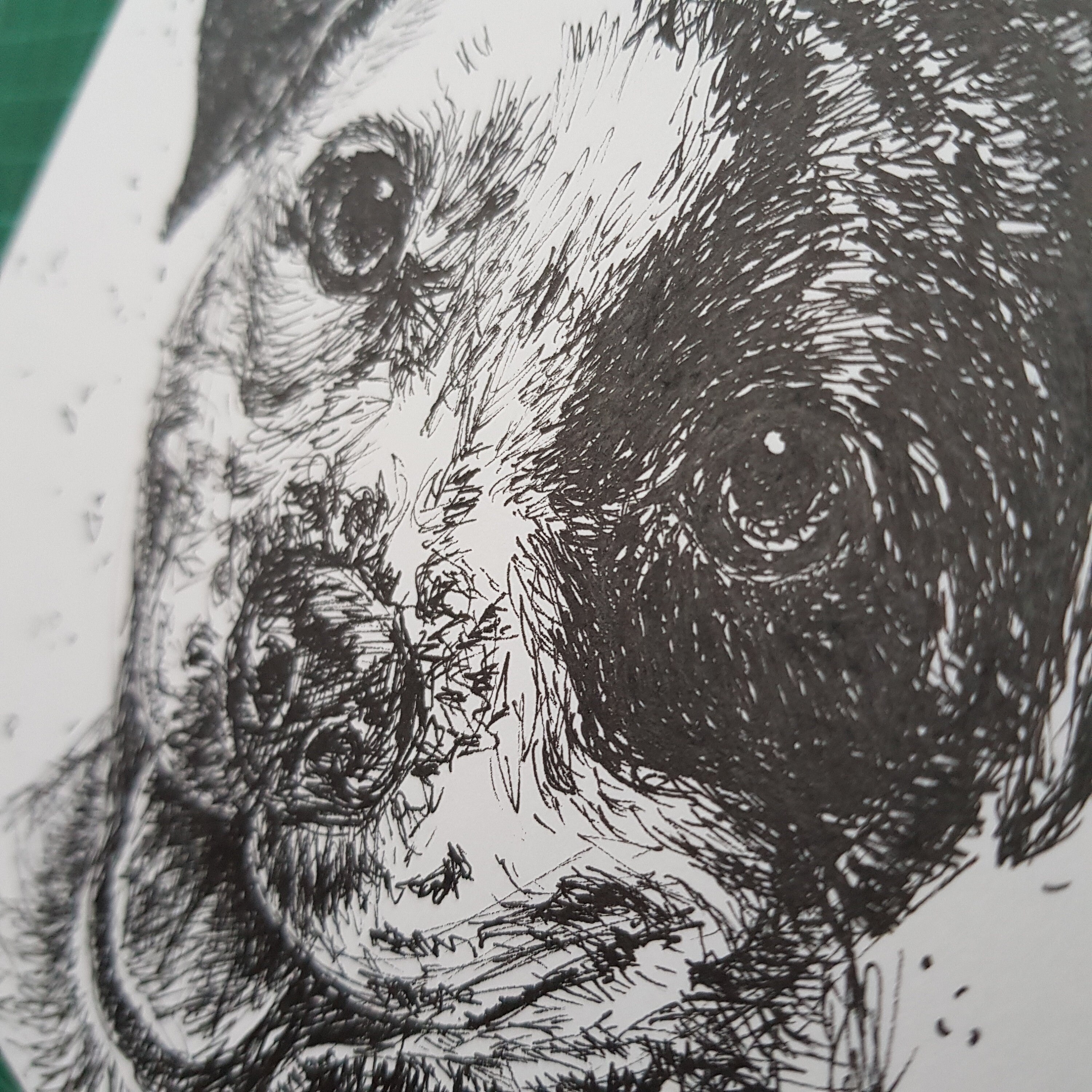 Staffy Art Staffordshire Bull Terrier Drawing Staffie - Etsy