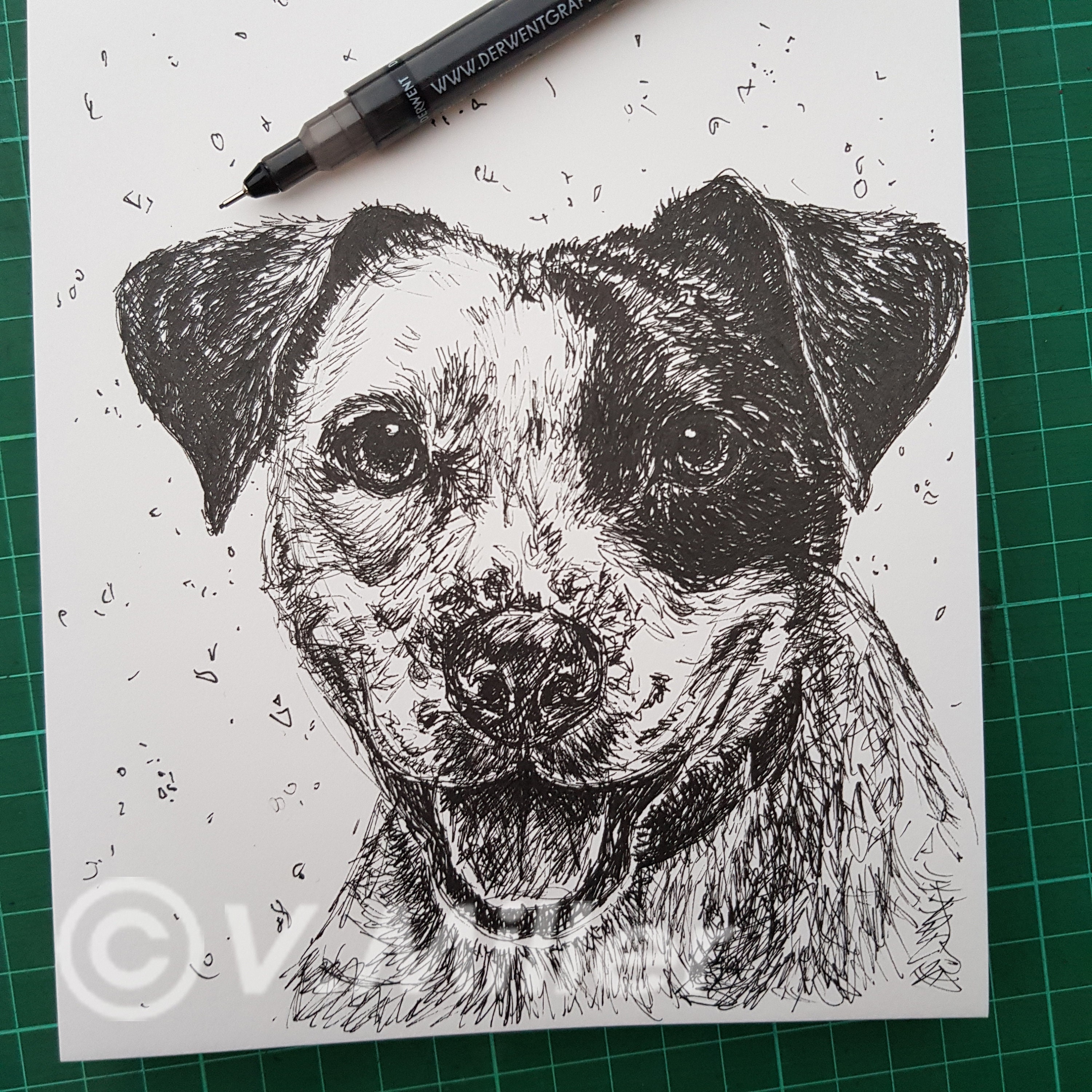 Staffy Art Staffordshire Bull Terrier Drawing Staffie - Etsy New Zealand