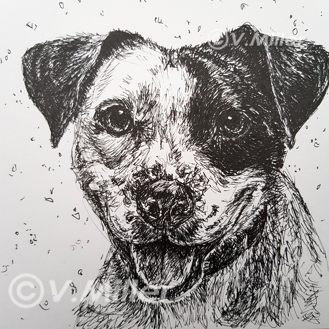 Staffy art Staffordshire bull terrier drawing Staffie - Etsy 日本