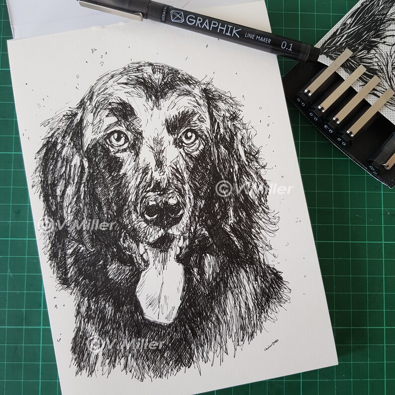 Flat Coated Retriever Dog Drawing Pen Drawing Ink Black Dog - Etsy