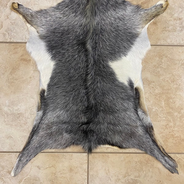 Goat Skin - Etsy