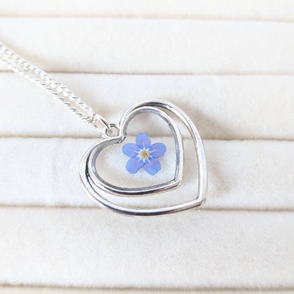 Forget Me Not - Etsy